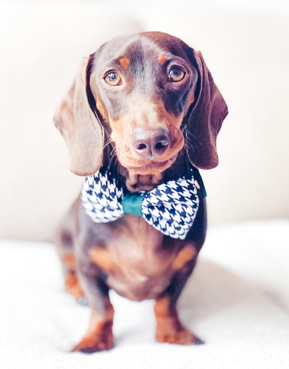 Emerald Envy Houndstooth Dog Bow Tie | PUPSTYLE Store